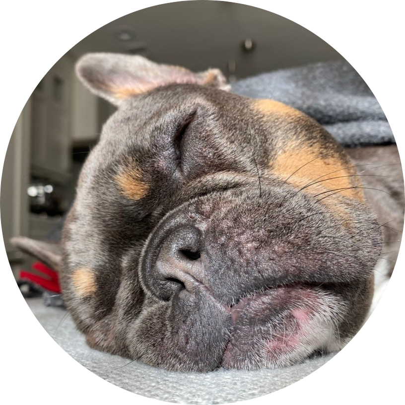 Anago Analytics: Price Dynamics, Quarterly Returns, and Annual Price ...