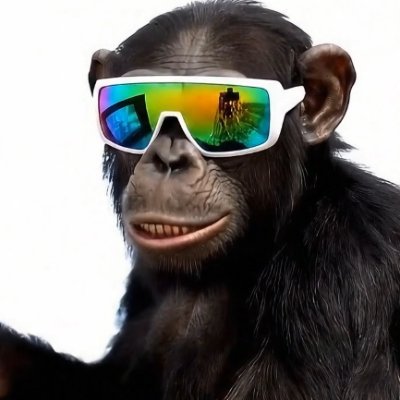 Toli The Trencher to Japanese Yen Price Today | Live Toli to JPY ...